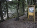 Auke Lake Trail - Juneau?s Summer Swim Area