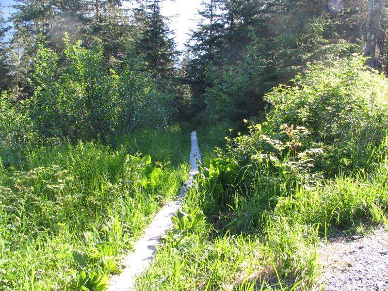 Dan Moller Trail - Juneau?s Quickest Cabin Excursion