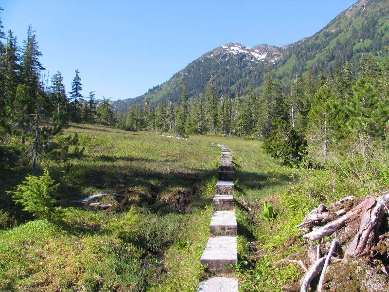Dan Moller Trail - Juneau?s Quickest Cabin Excursion